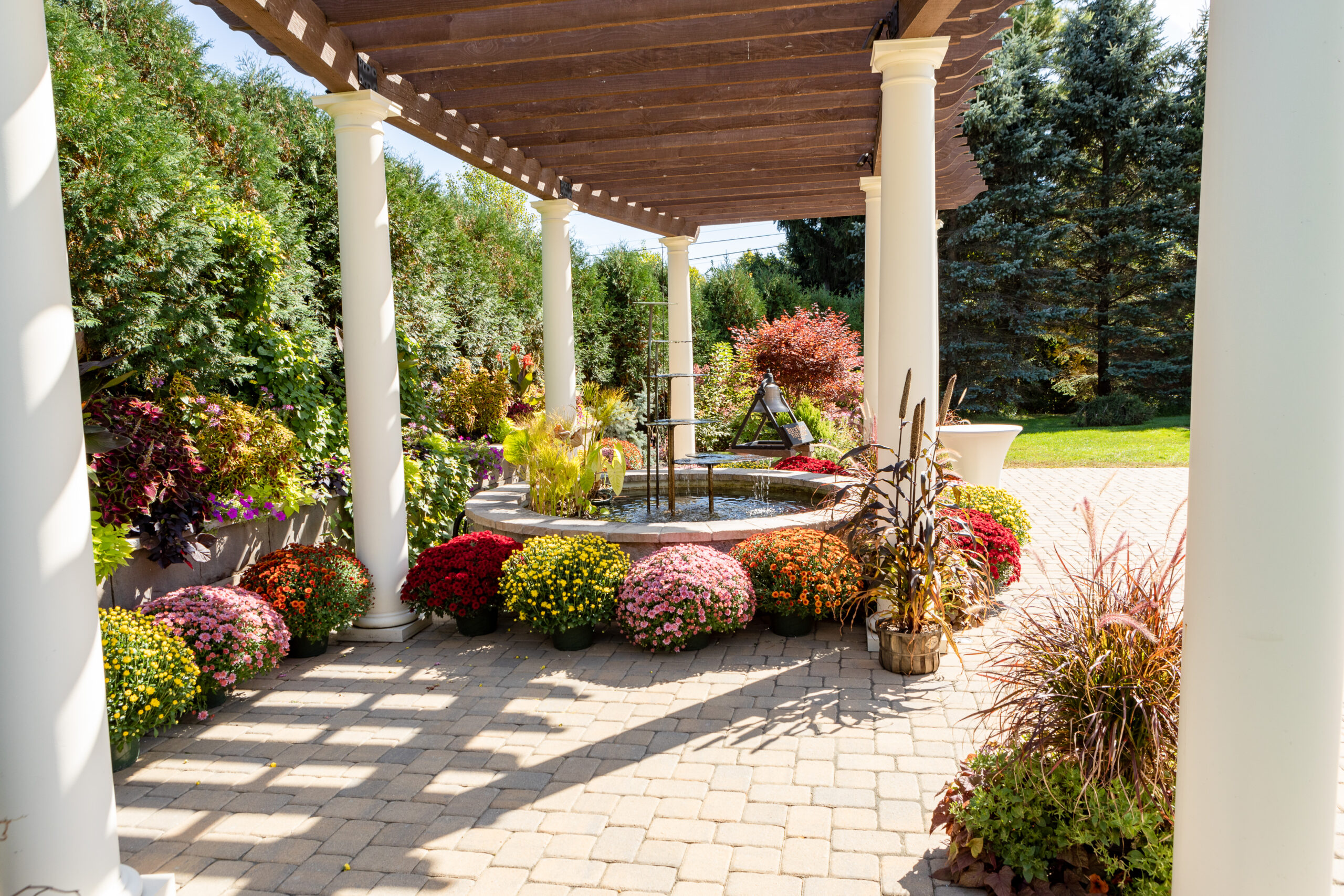 Gallery | Birch Wood Vineyards